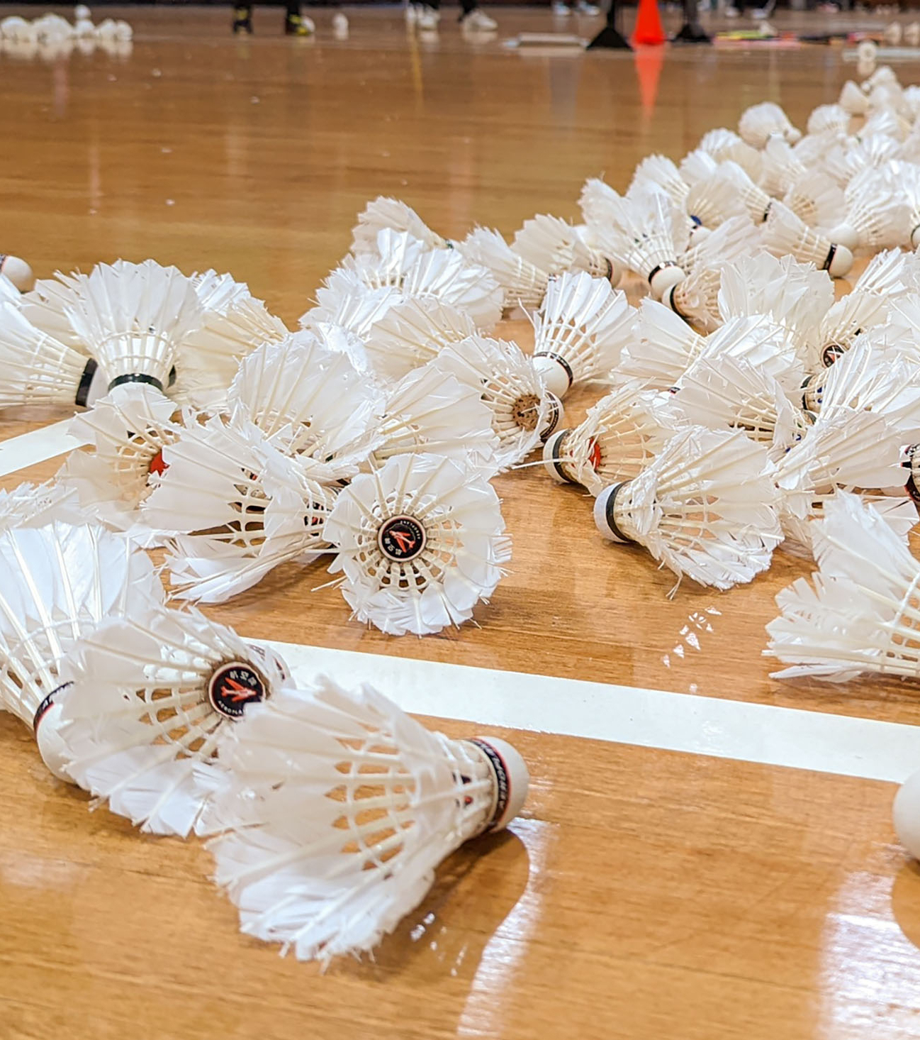 Chongtian Badminton – Dream Big. Dream Badminton.